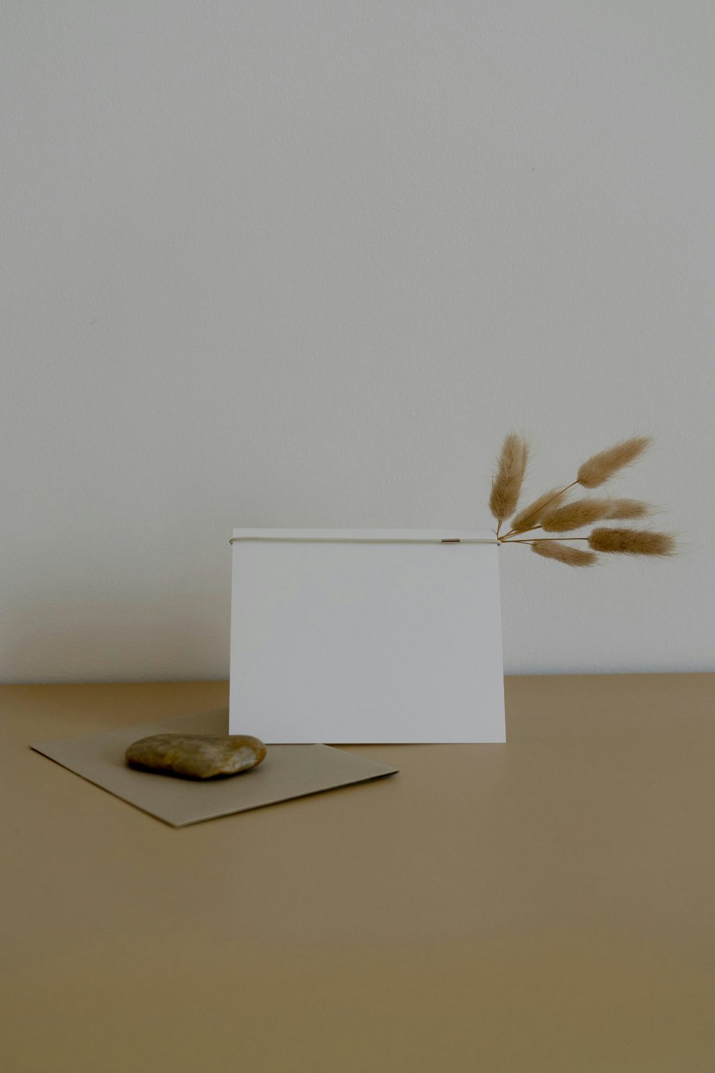 Stone Paper vs Traditional Paper: Which Should You Choose? – Stone Paper